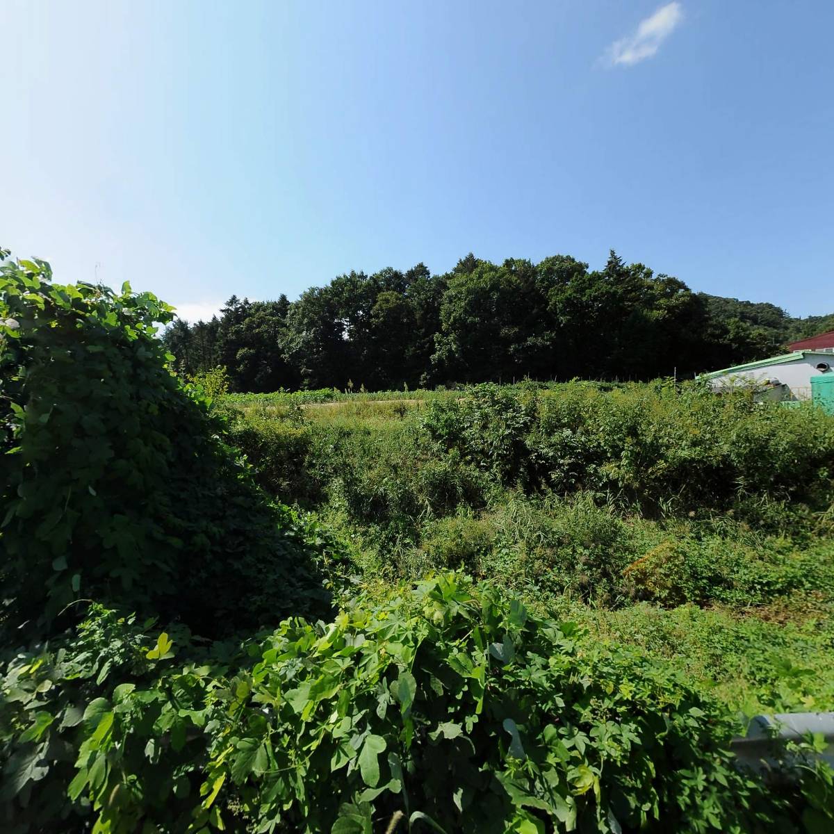 (주)헬프네이쳐